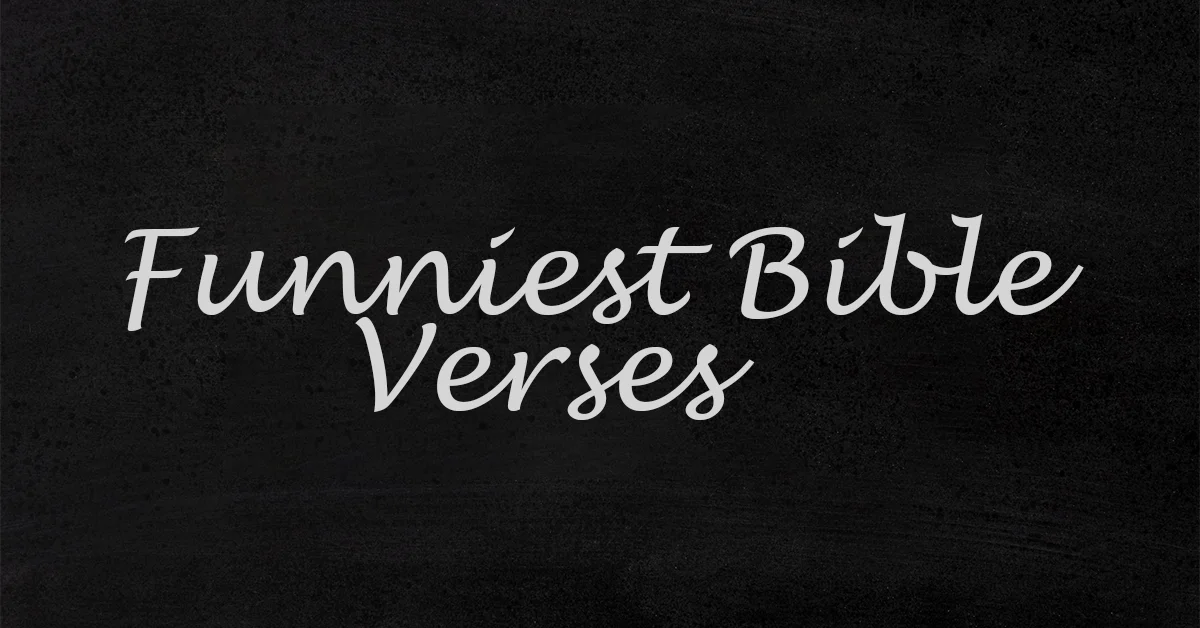 Divine Comedy: Discovering The Funniest Bible Verses